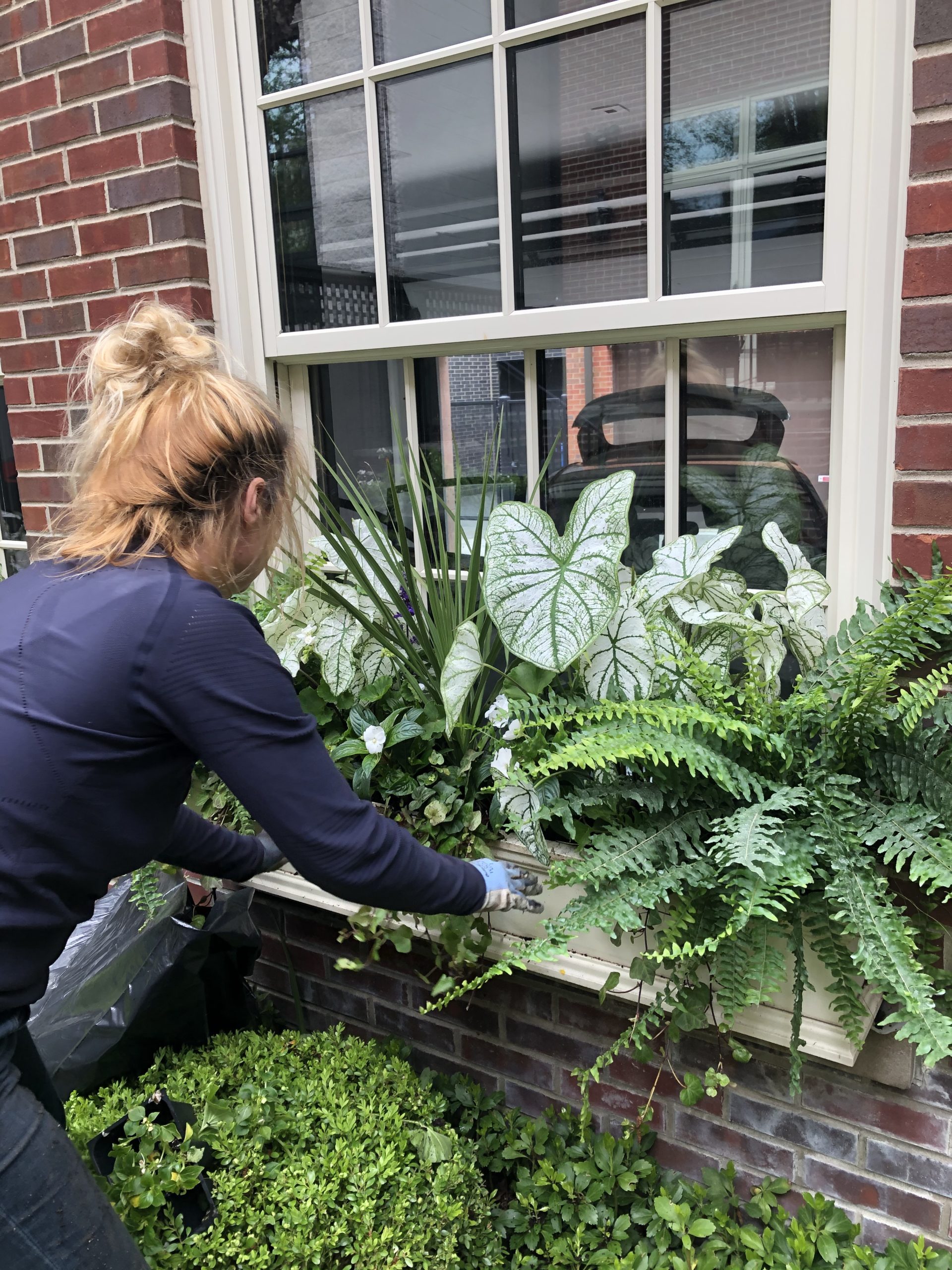 Angie Mead from Hemlock on Gardens in her Life | More Organics